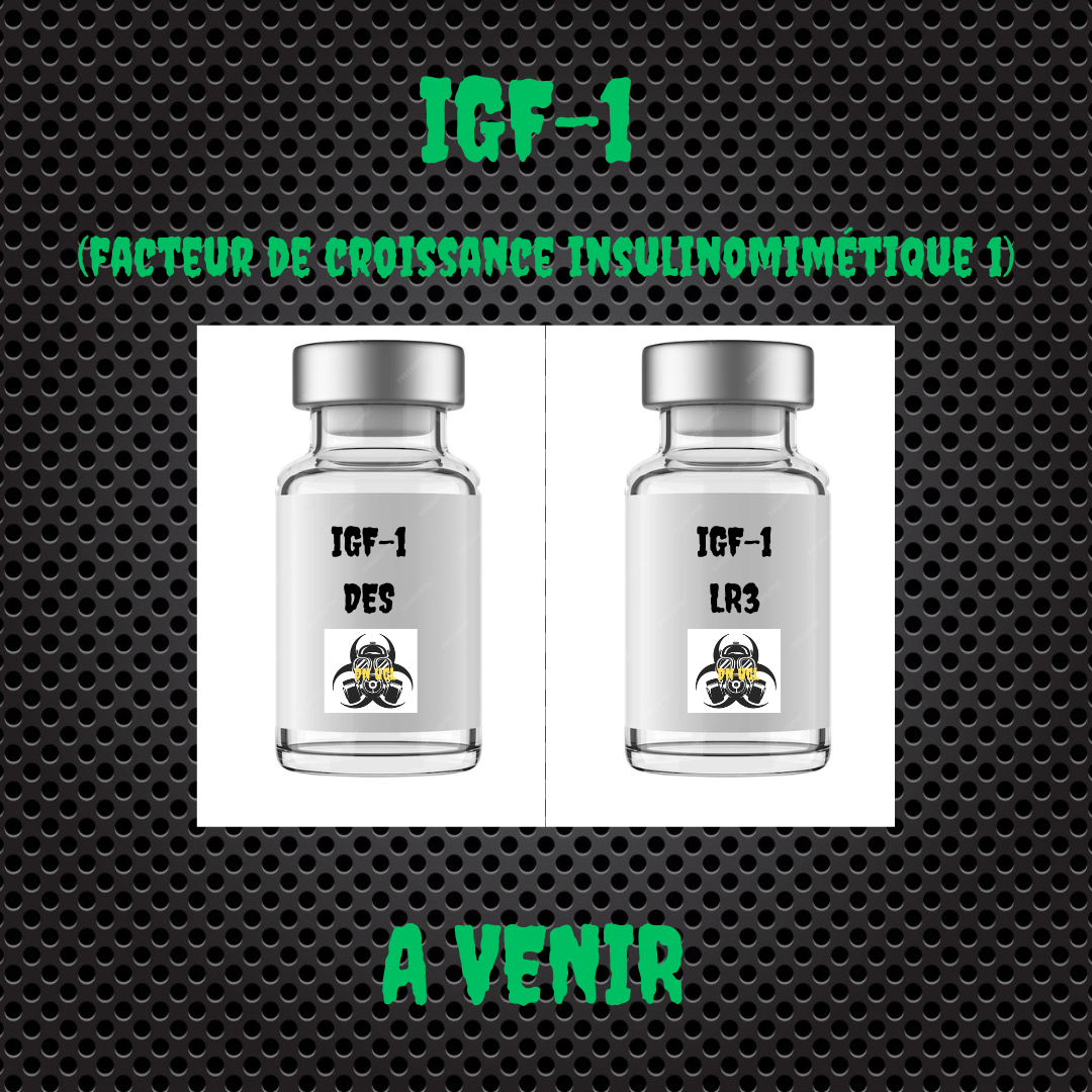 IGF-1 DES et IGF-1 LR3 en bref – AndroChem